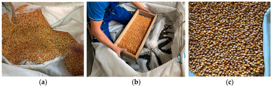 Evaluation of an Optical Sorter Effectiveness in Separating Maize Seeds ...