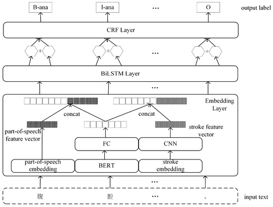 Medical Named Entity Recognition Fusing Part-of-Speech and Stroke Features
