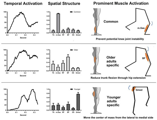 Age-Related Differences in Kinematics, Kinetics, and Muscle Synergy ...