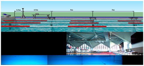 Inter-Segmental Coordination of the Swimming Start among Paralympic ...