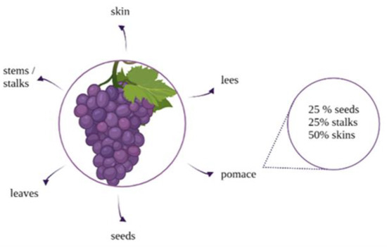 Grape By-Products in Sustainable Cosmetics: Nanoencapsulation and ...