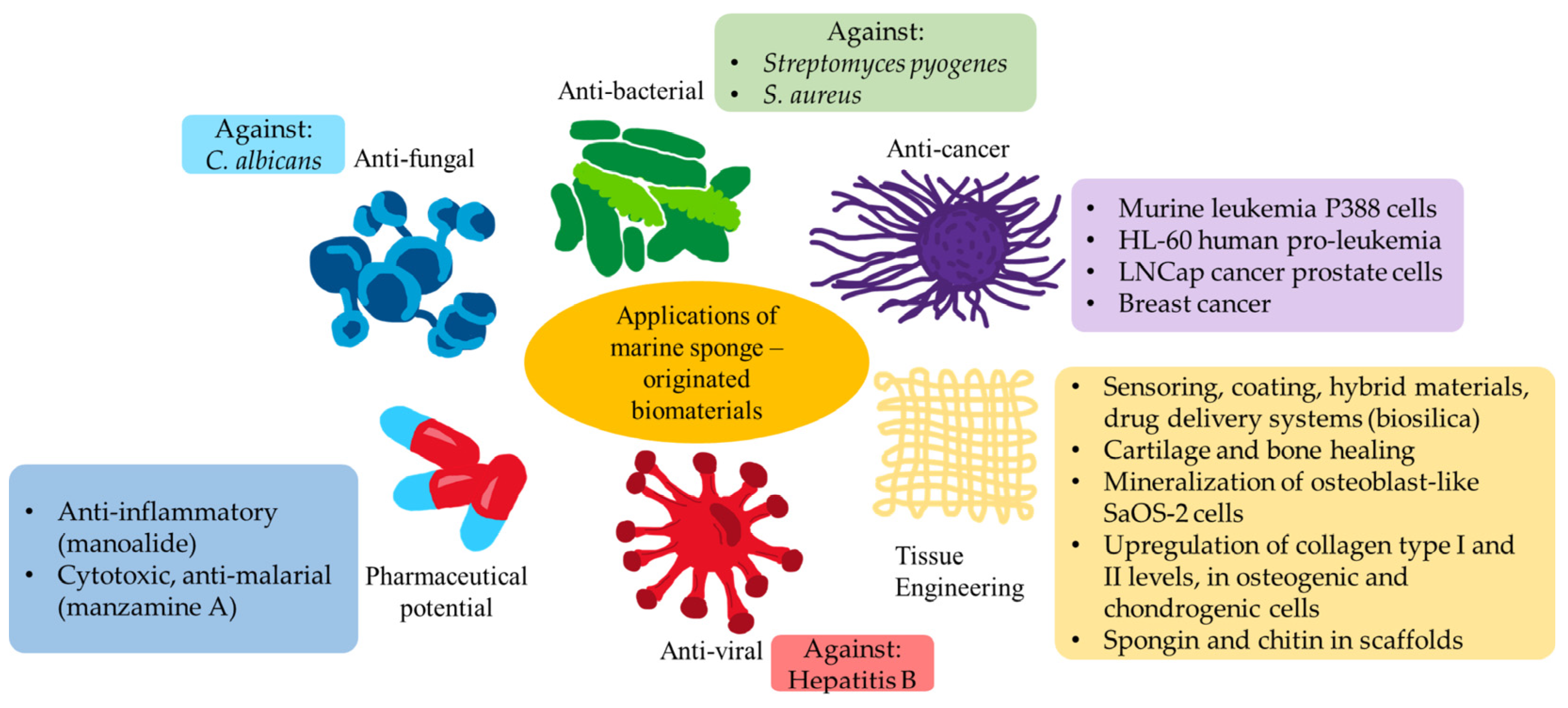 Marine-Originated Materials and Their Potential Use in Biomedicine