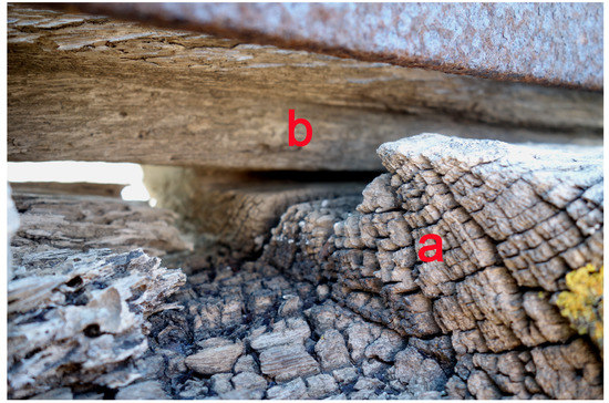 Wood Utilization in Windmill Mechanisms on Sikinos Island (Greece)