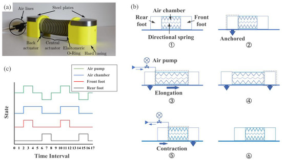 Actuation Mechanisms and Applications for Soft Robots: A Comprehensive ...