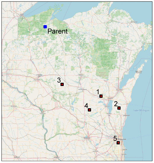 A Neural-Network-Based Landscape Search Engine: LSE Wisconsin