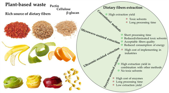 Extraction of Dietary Fibers from Plant-Based Industry Waste: A ...