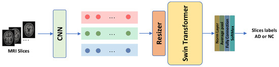 Resizer Swin Transformer-Based Classification Using sMRI for Alzheimer’s Disease