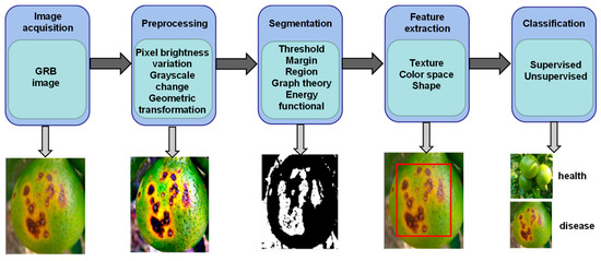 Application of Machine Vision Technology in Citrus Production