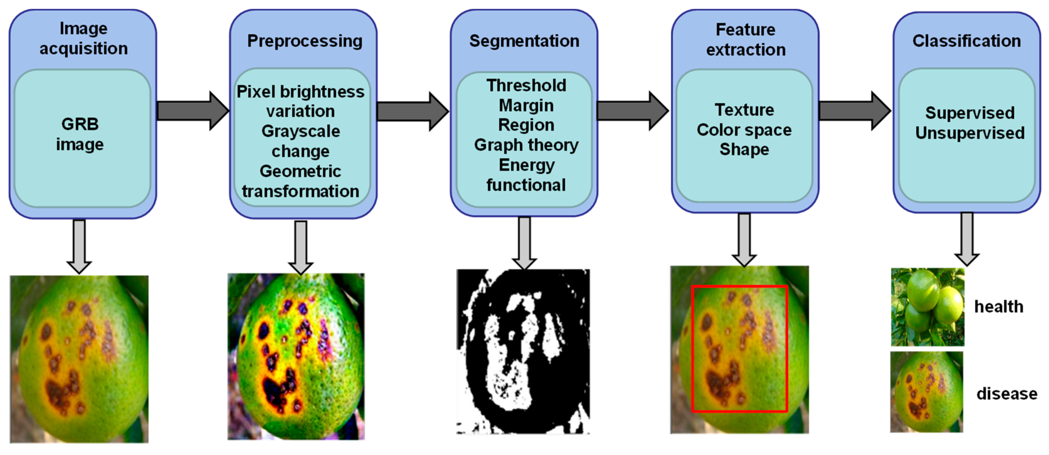 Application of Machine Vision Technology in Citrus Production