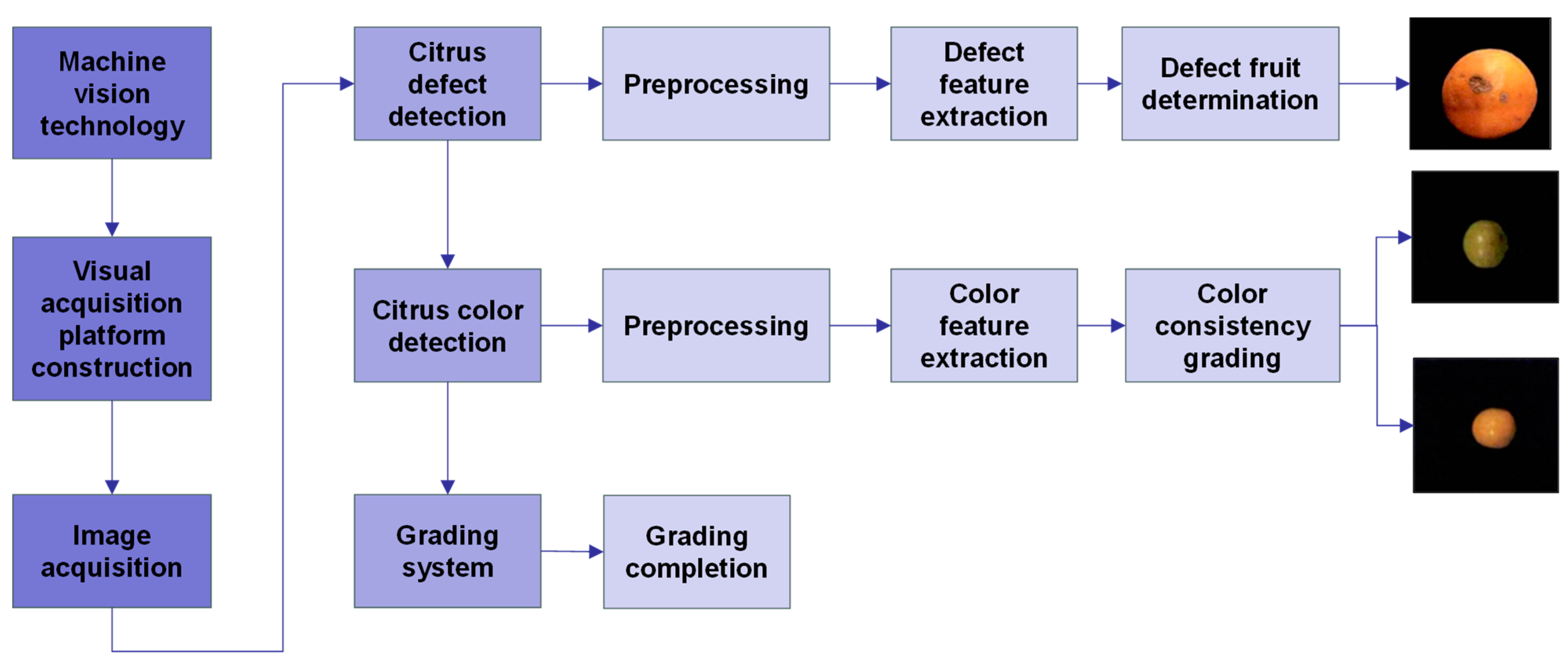 Application of Machine Vision Technology in Citrus Production