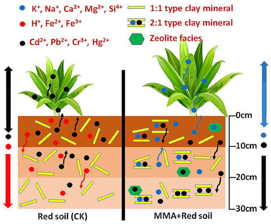 Applicability of Clay/Organic Clay to Environmental Pollutants: Green ...