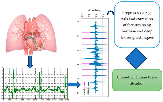 Applied Sciences | Free Full-Text | Biometric-Based Human Identification Using Ensemble-Based ...