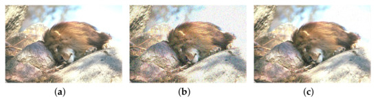 A Nested UNet Based on Multi-Scale Feature Extraction for Mixed Gaussian-Impulse Removal
