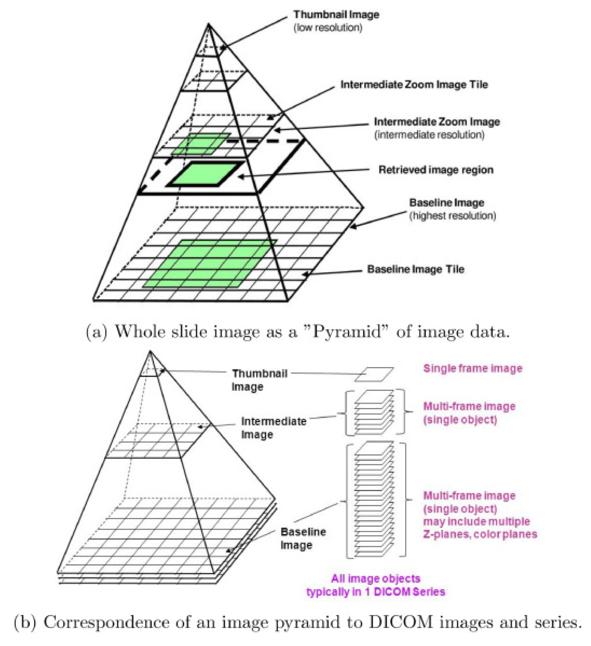 Applied Sciences | Free Full-Text | Deep Learning within a DICOM WSI Viewer for Histopathology