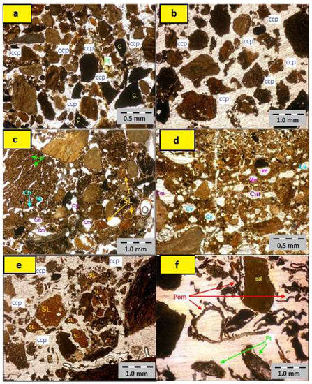 Soil Quality in Rehabilitated Coal Mining Areas