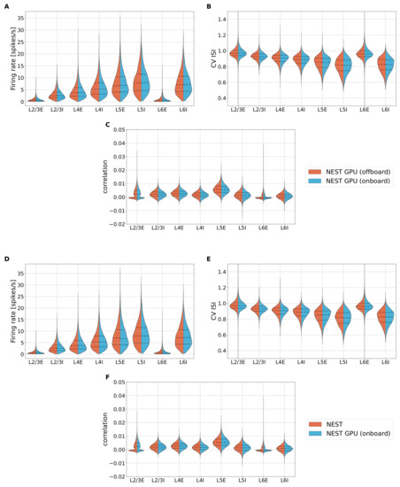 Runtime Construction of Large-Scale Spiking Neuronal Network Models on ...
