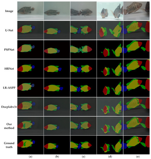 Applied Sciences | Free Full-Text | Accurate Segmentation of Tilapia Fish Body Parts Based on ...