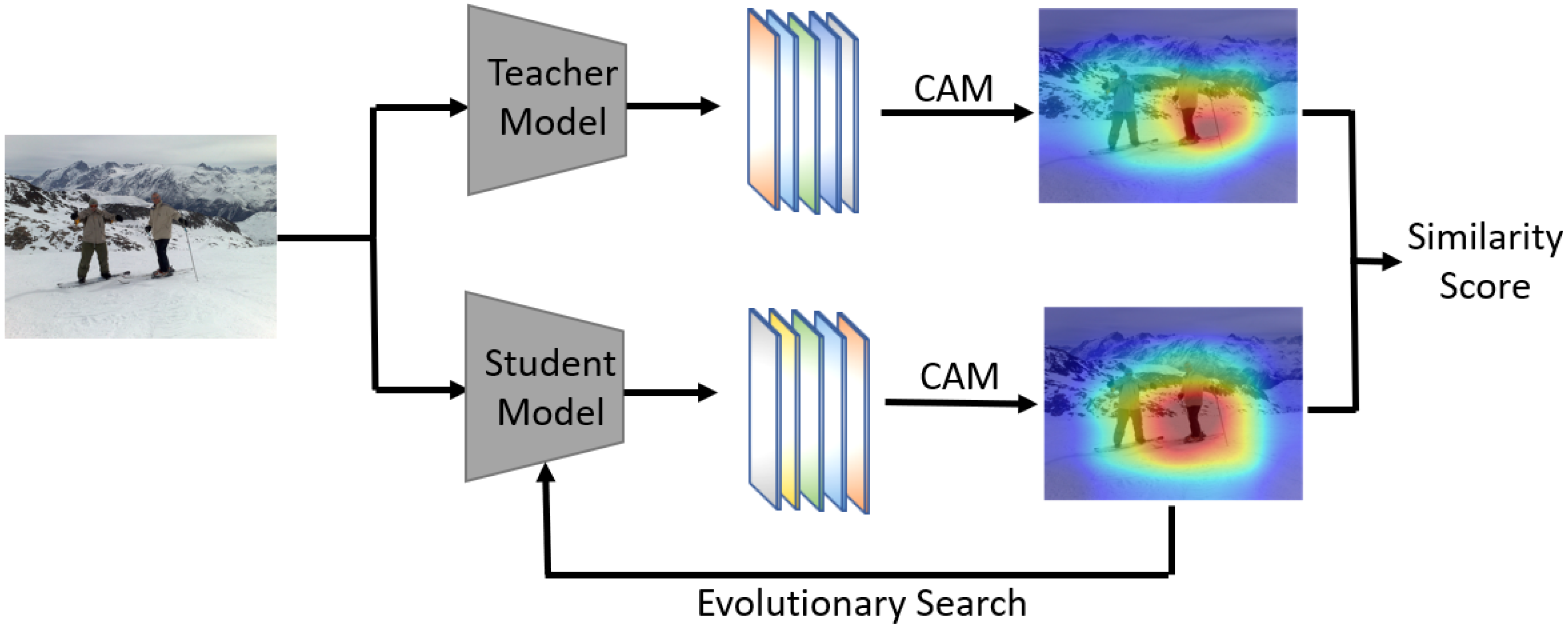 Applied Sciences | Free Full-Text | CAM-NAS: An Efficient and Interpretable Neural Architecture ...