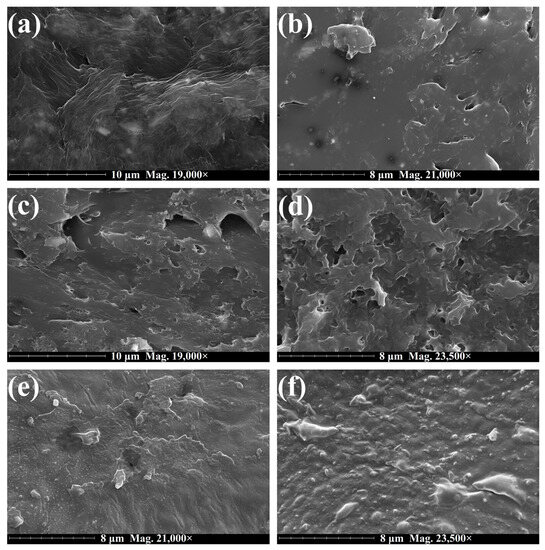 Screening of Microplastics in Aquaculture Systems (Fish, Mussel, and ...