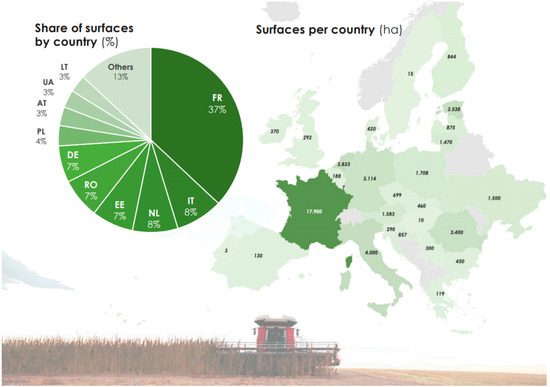Hemp Biomass as a Raw Material for Sustainable Development