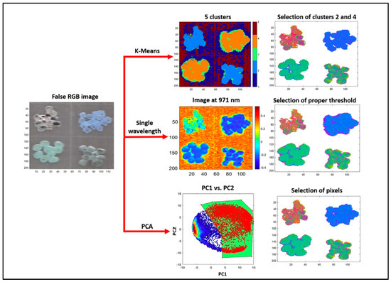 Hyperspectral Imaging for Fresh-Cut Fruit and Vegetable Quality ...