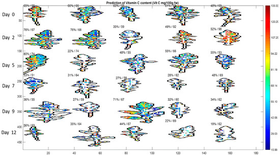 Hyperspectral Imaging for Fresh-Cut Fruit and Vegetable Quality ...