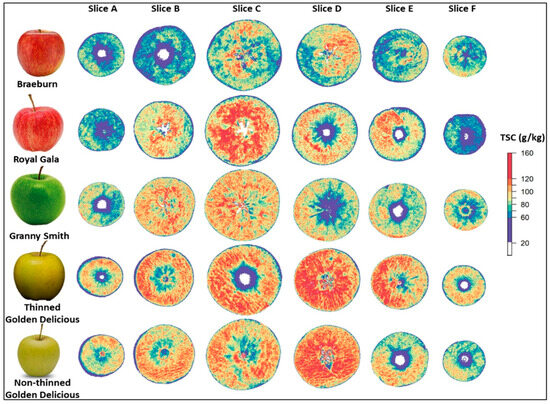 Applied Sciences | Free Full-Text | Hyperspectral Imaging for Fresh-Cut Fruit and Vegetable ...