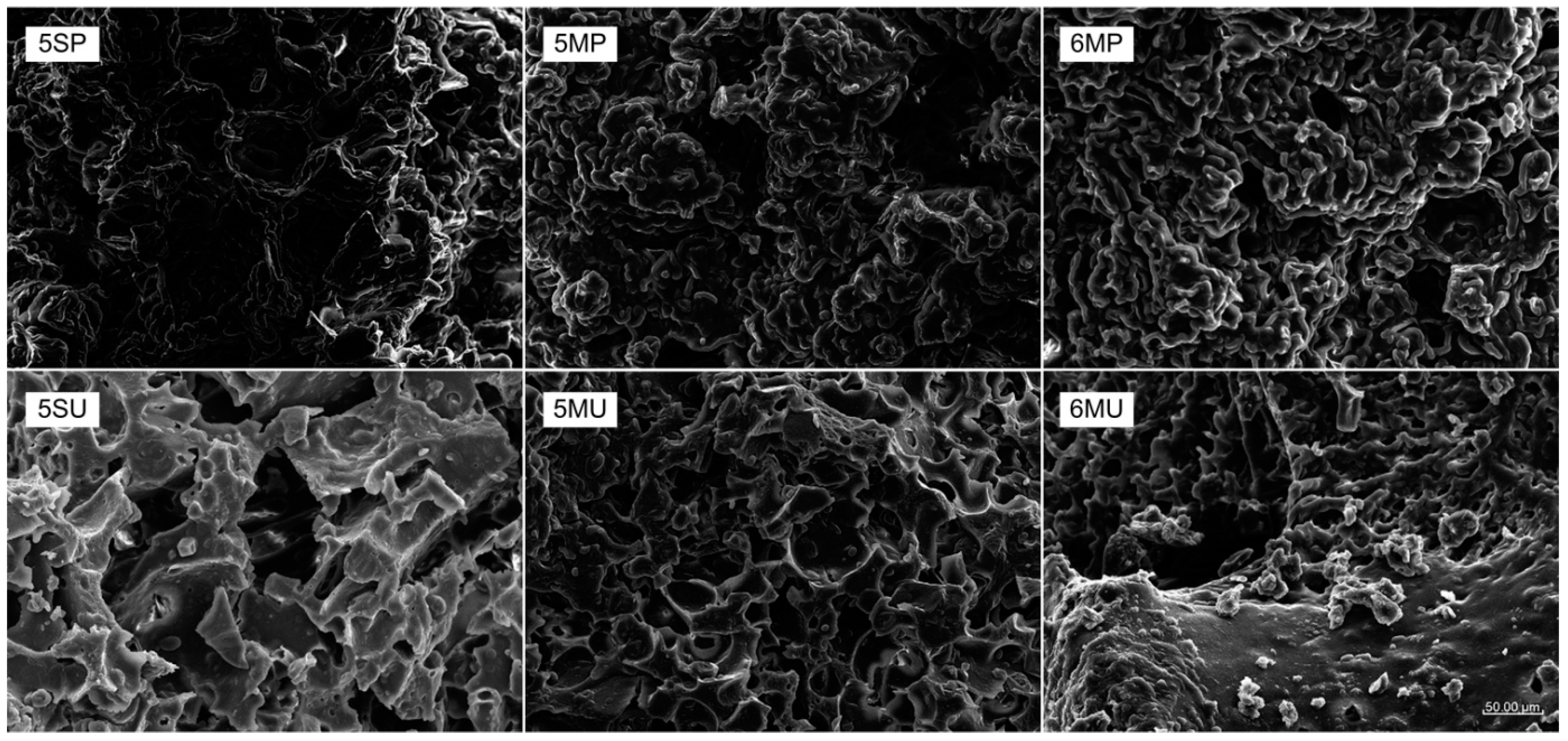 Examining the Influence of Ultrasounds and the Addition of Arrowroot on ...