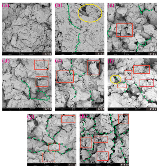 Applied Sciences | Free Full-Text | Effects of Freeze–Thaw Cycles on the Mechanical Properties ...