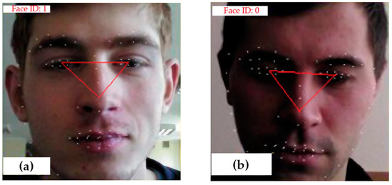 Facial Emotion Recognition for Photo and Video Surveillance Based on ...