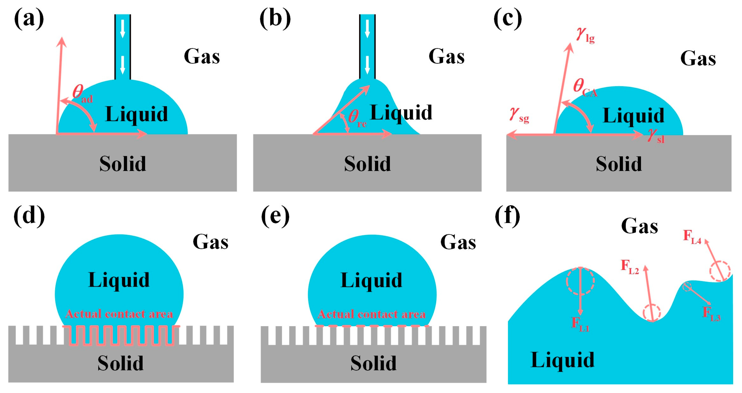 Spontaneous Directional Transportation Surface of Water Droplet and Gas ...