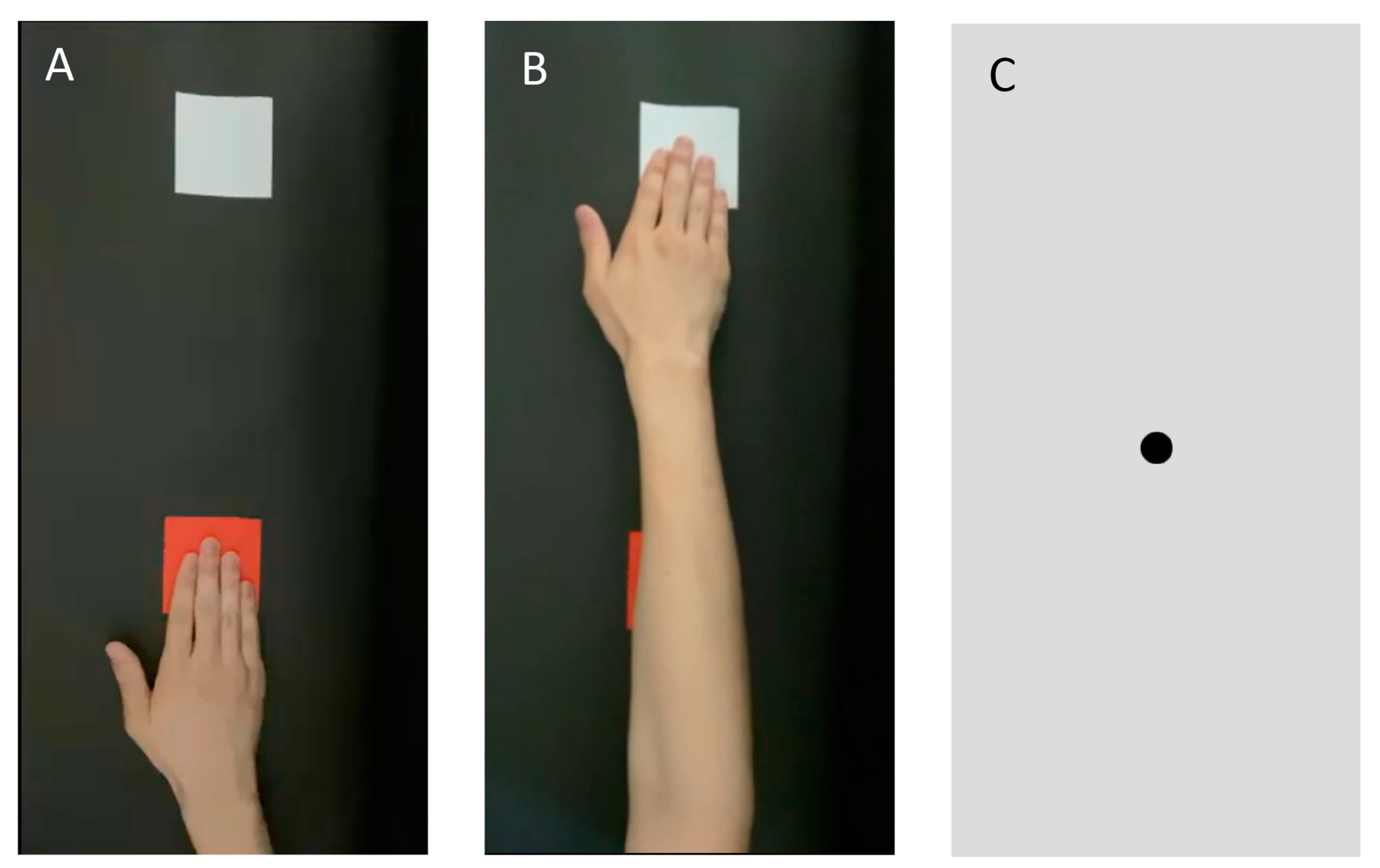Development of an Application That Implements a Brain–Computer Interface to an Upper-Limb Motor ...