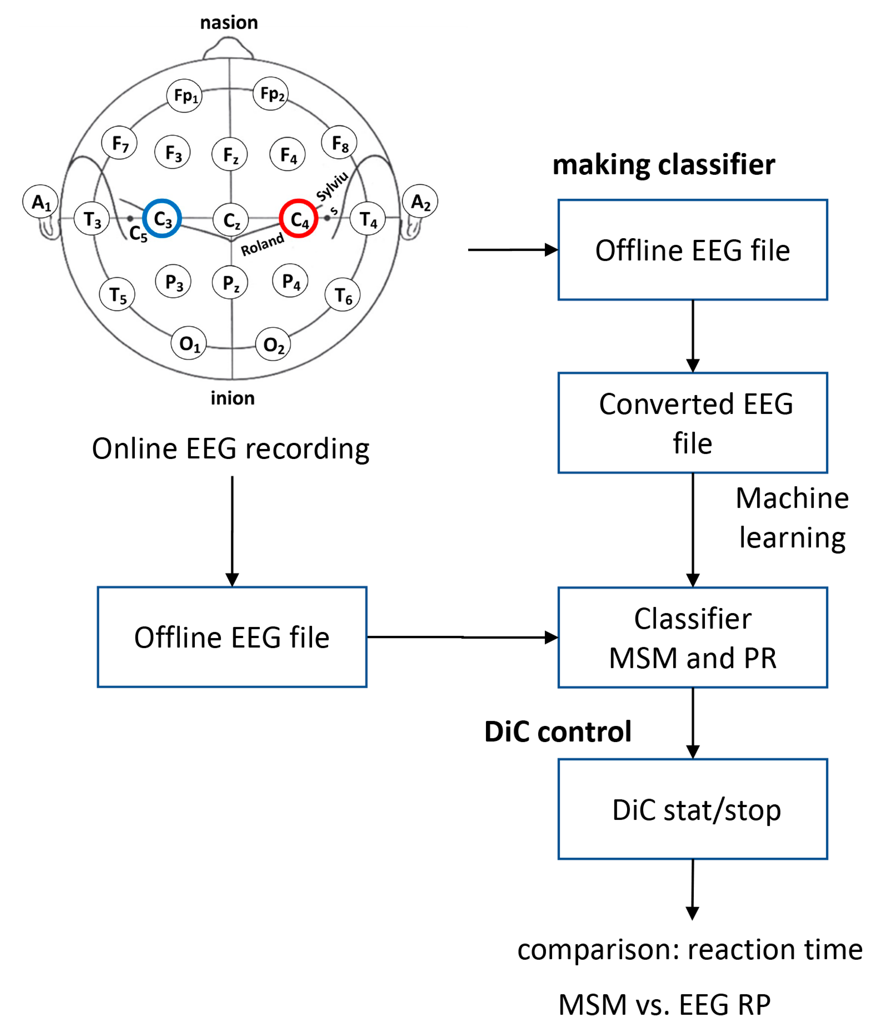 Development of an Application That Implements a Brain–Computer Interface to an Upper-Limb Motor ...