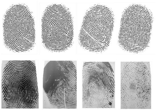Applied Sciences | Free Full-Text | Privacy-Friendly Datasets of Synthetic Fingerprints for ...