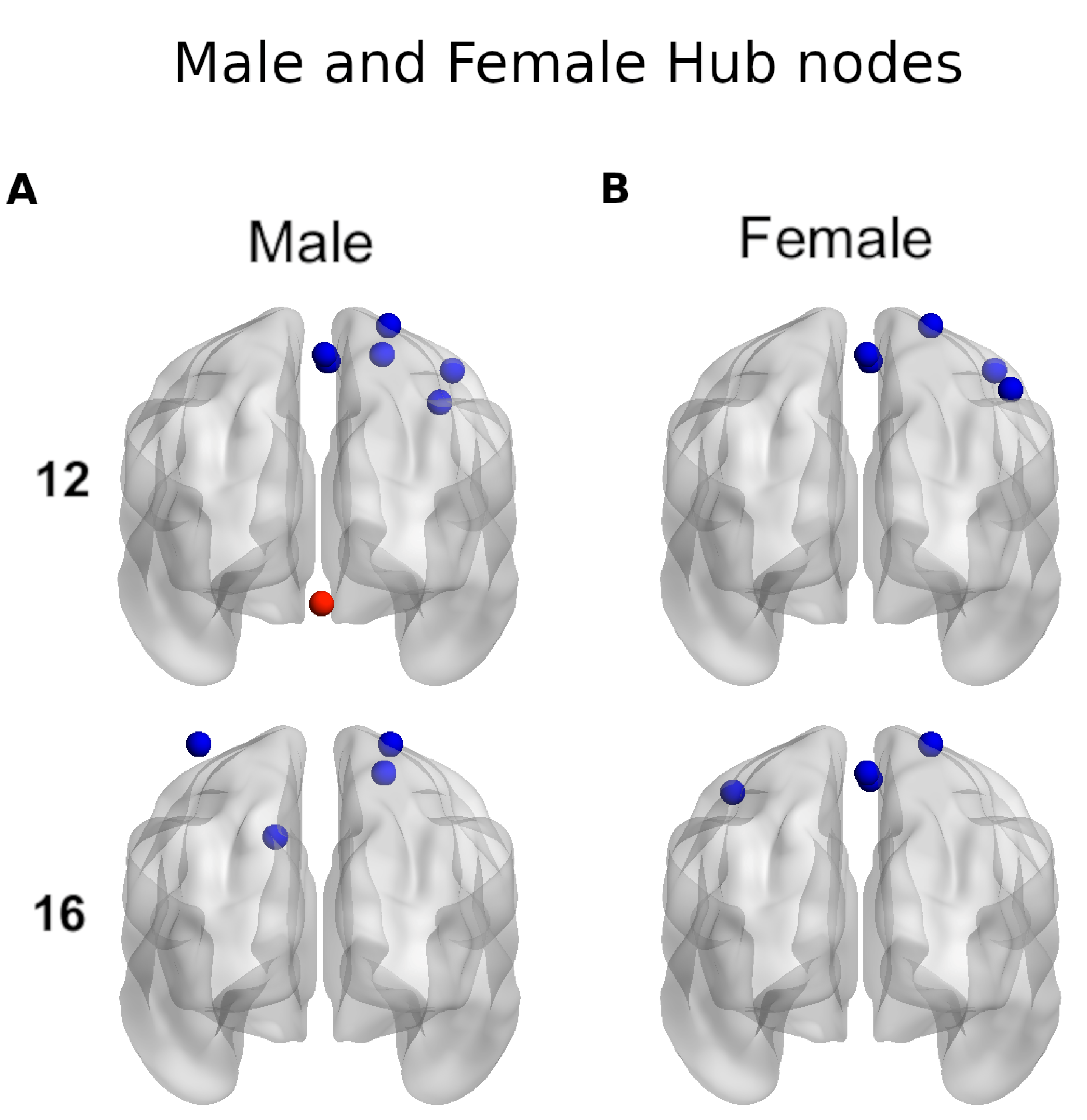 Sex Related Variations In The Brain Motor Network Connectivity At Rest During Puberty