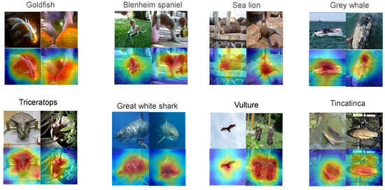 Attention Block Based on Binary Pooling