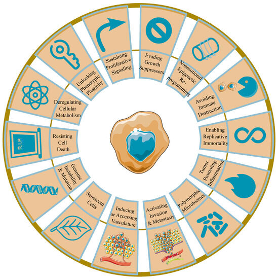 Cancer Treatment: An Overview of Pulsed Electric Field Utilization and ...