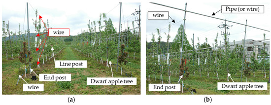 Experiments and Design of an Anti-Disaster Support System for Apple ...