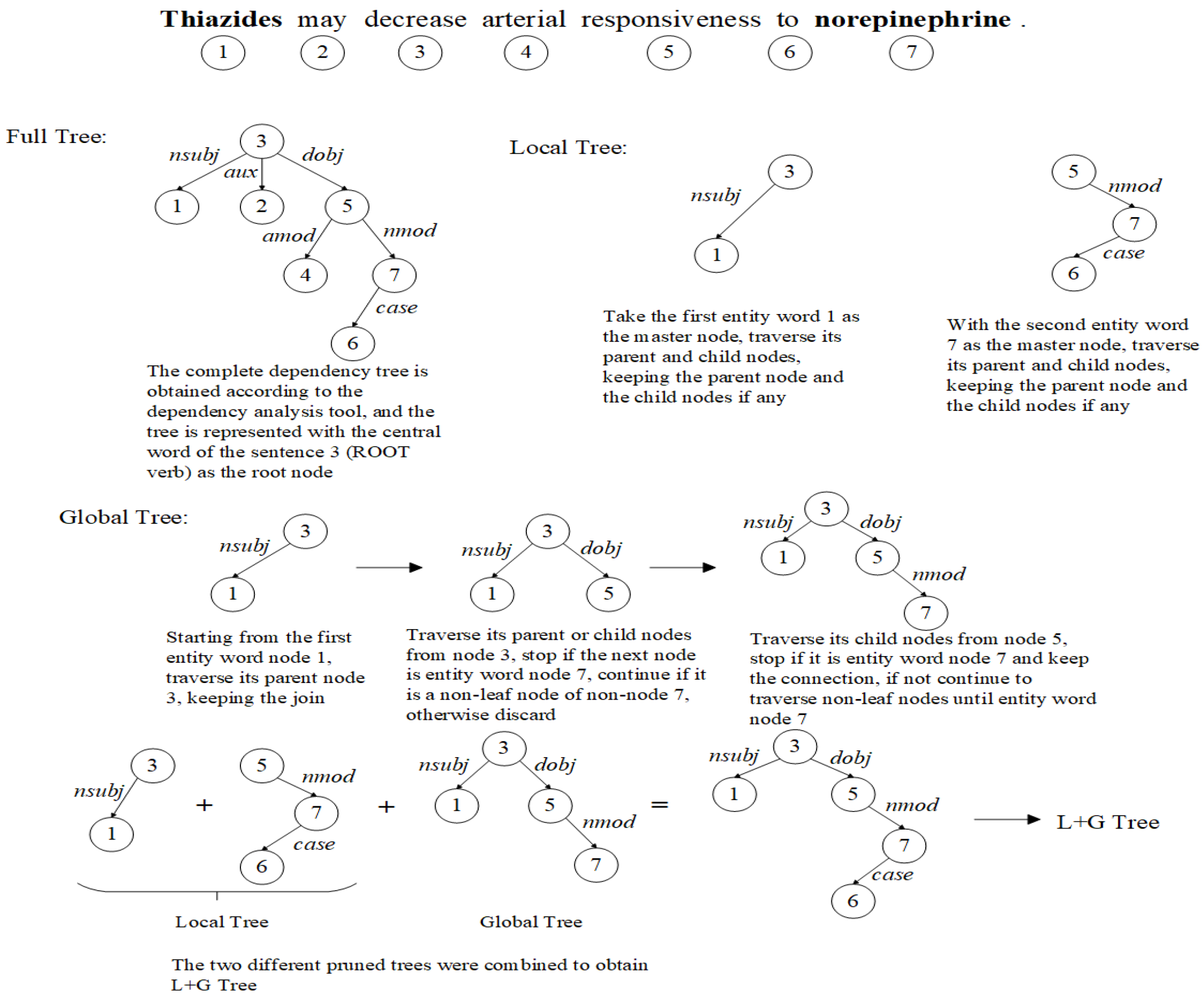 A Biomedical Relation Extraction Method Based on Graph Convolutional Network with Dependency ...