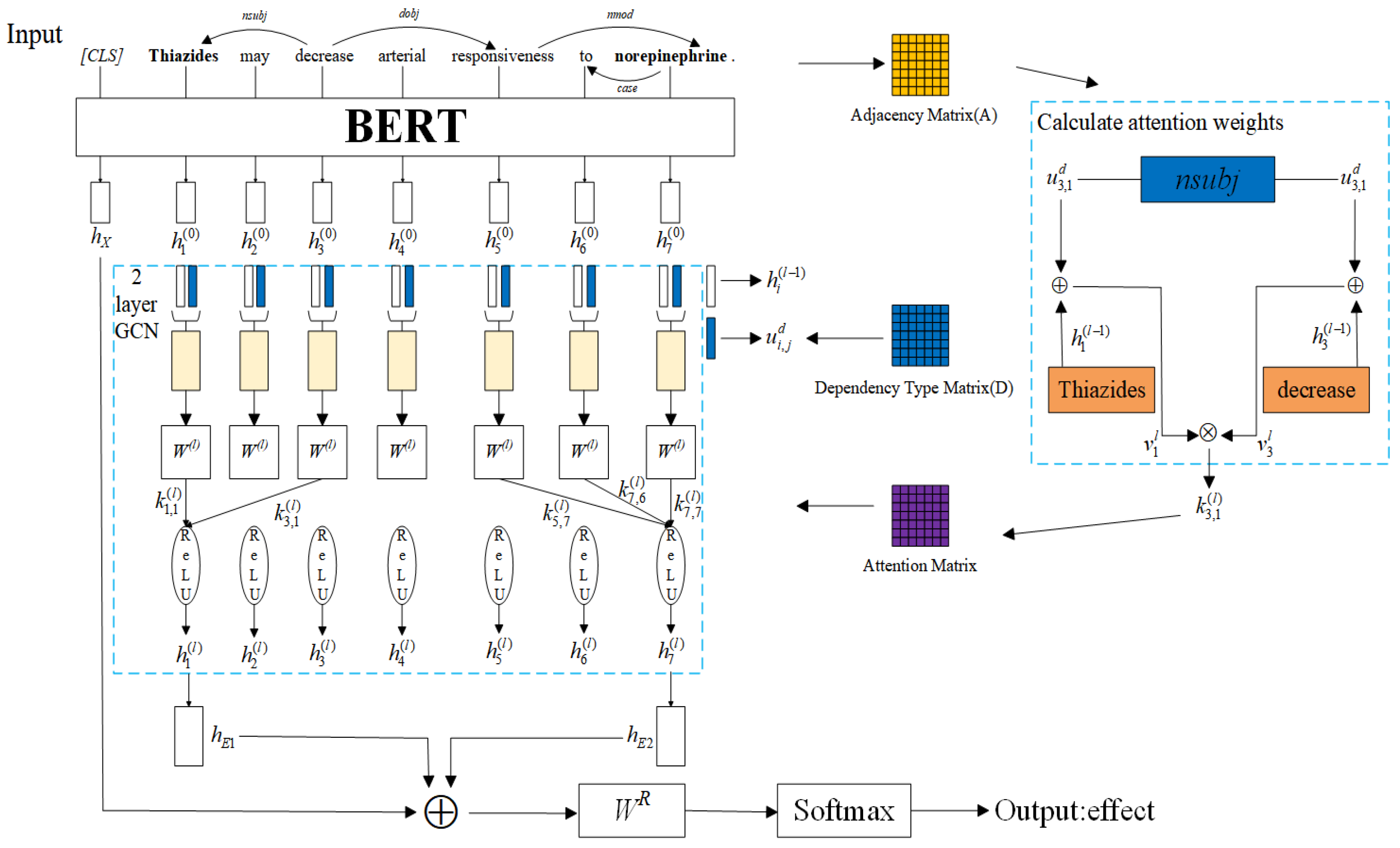 A Biomedical Relation Extraction Method Based on Graph Convolutional Network with Dependency ...