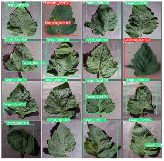 A Study on Tomato Disease and Pest Detection Method
