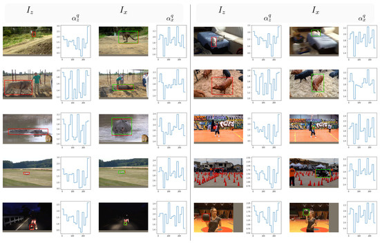 Target-Aware Feature Bottleneck for Real-Time Visual Tracking