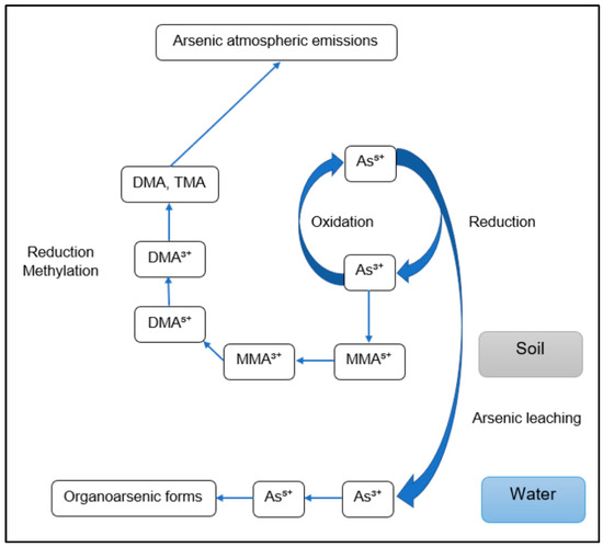 Remediation Opportunities for Arsenic-Contaminated Gold Mine Waste