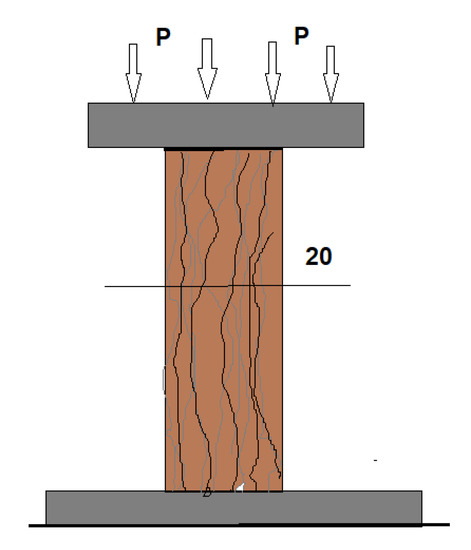 Differences and Similarities between the Wood of Three Low-Density and ...