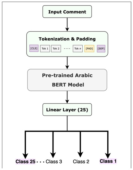 Text Classification of Patient Experience Comments in Saudi Dialect Using Deep Learning Techniques