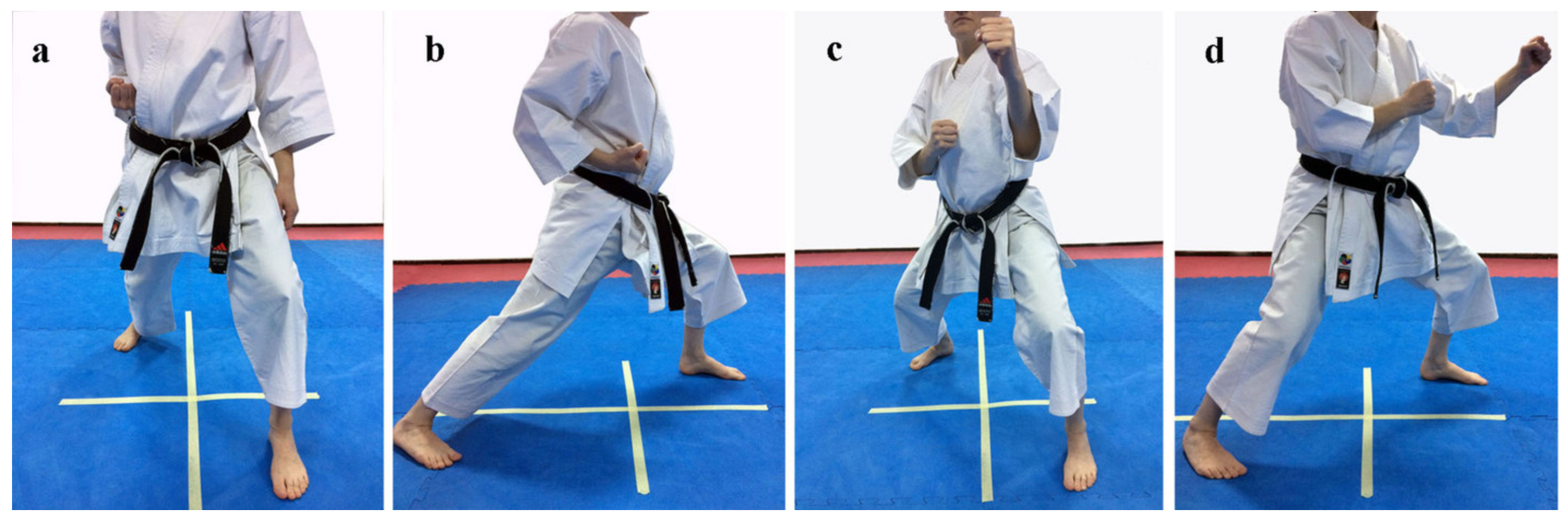 Variability and the Correlation of Kinematic and Temporal Parameters in ...
