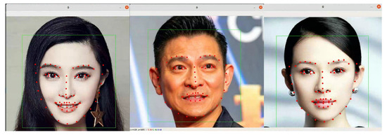 Face Keypoint Detection Method Based on Blaze_ghost Network
