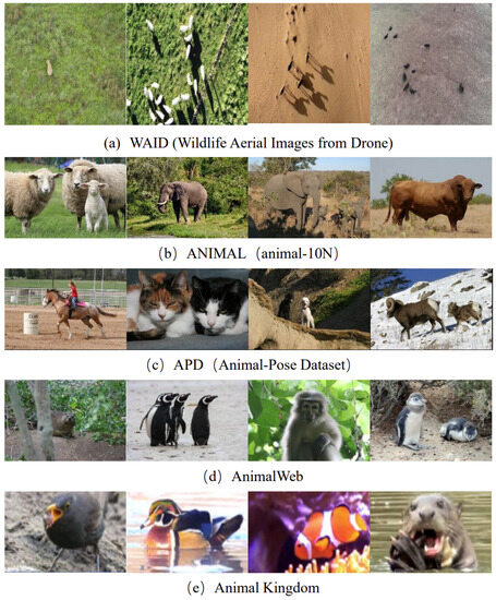 WAID: A Large-Scale Dataset for Wildlife Detection with Drones