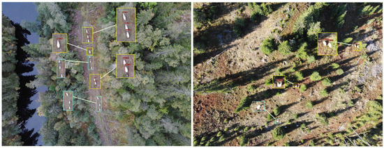 WAID: A Large-Scale Dataset for Wildlife Detection with Drones