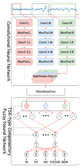 Automatic Sleep Stage Classification Using a Taguchi-Based Multiscale Convolutional Compensatory ...